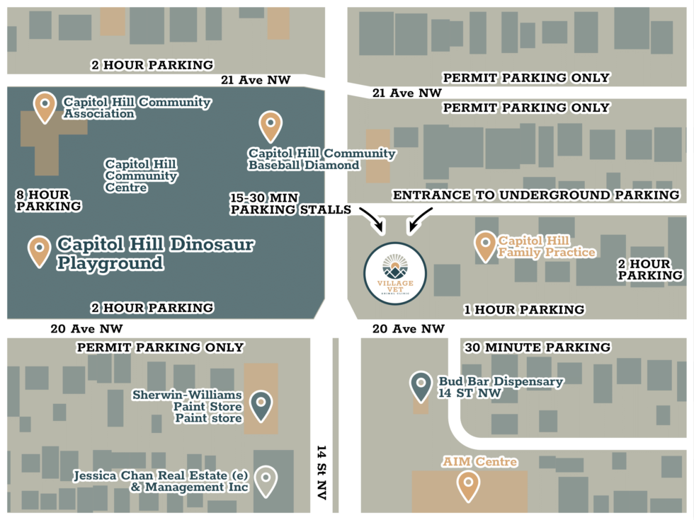 Locally Owned Veterinary Clinic In Calgary, AB T2M 3N5 | Village Vet ...