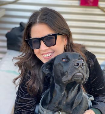 Veterinarian In Calgary, AB T2M 3N5 | Village Vet Animal Clinic